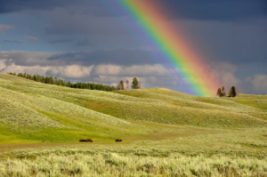 Rainbow Colors in Order Explained: ROYGBIV Guide