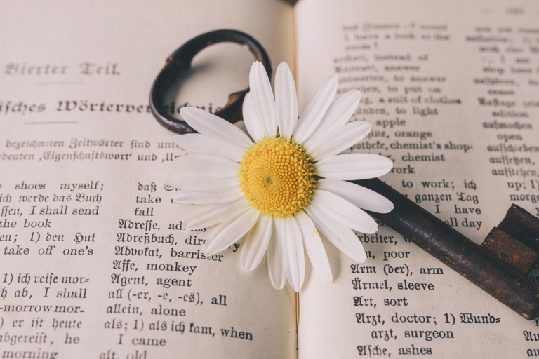 The German Language - English Made Simple